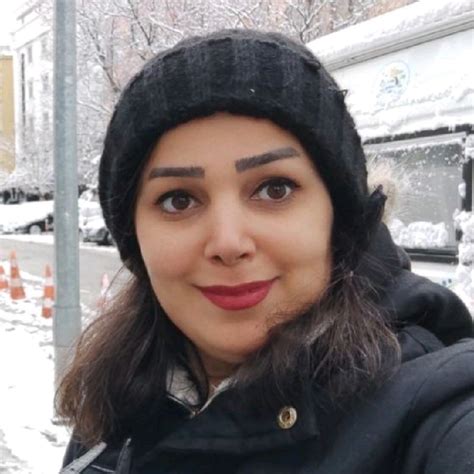 Nasim Pour Bohlool Herndon Virginia United States Professional