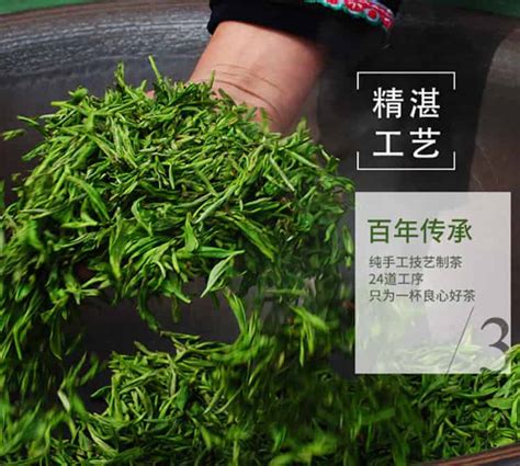 收藏普陀佛茶制作工艺与流程图 茶文化网