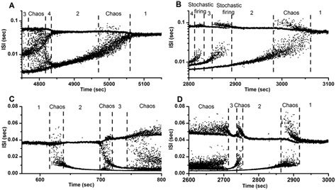 Bifurcation Scenarios Observed From Different Neural Pacemakers A Download Scientific