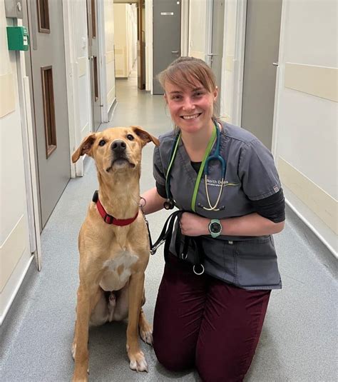 Annabel Joins The Medicine Team Ndsr