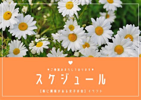 女性の為の株式投資運用術 株初心者が独学で勉強するため情報と本や動画などを紹介。株女子会の活動も