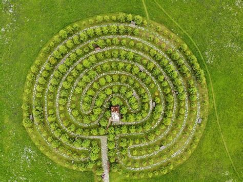 Tree Labyrinth Nature Free Photo On Pixabay Pixabay