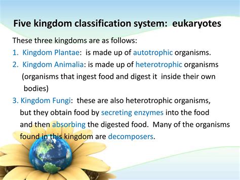 Biodiversity And Classification Pptx