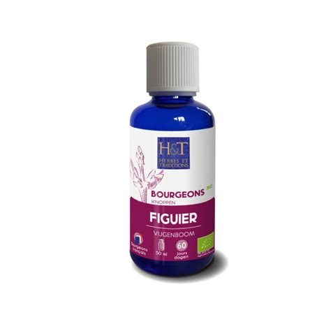 Bourgeons Figuier Bio 50ml Herbes Et Traditions Consomacteurs