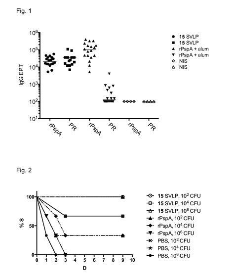 Proline Rich Peptides Protective Against S Pneumoniae Eureka