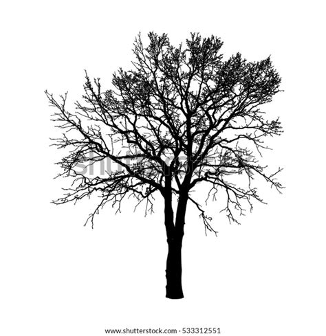 Leafless Tree Vector Illustration Eps10 Stock Vector Royalty Free 533312551 Shutterstock