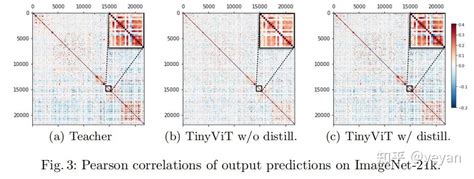 论文解读TinyVit 快速蒸馏vit 可替换sam的vitmobilesam 知乎