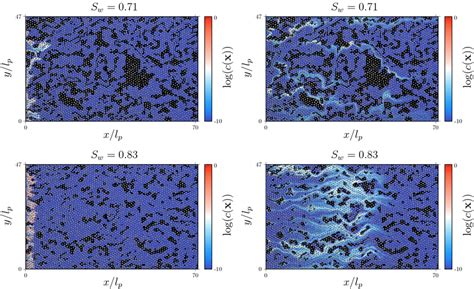Map Of The Logarithm Of The Concentration Of A Conservative Solute At