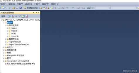 sql server 2014无法连接到服务器之解决方法 无法连接到microsoft sql server 2014 csdn博客