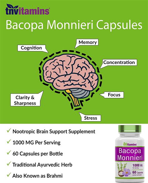 Bacopa Monnieri Capsules 1000 Mg 60 Capsules Nootropic Brain Support Supplement Bacopa