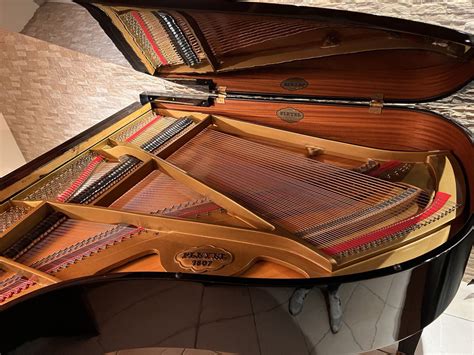 Pleyel 180 Accordatura Vendita Noleggio Assistenza Tecnica