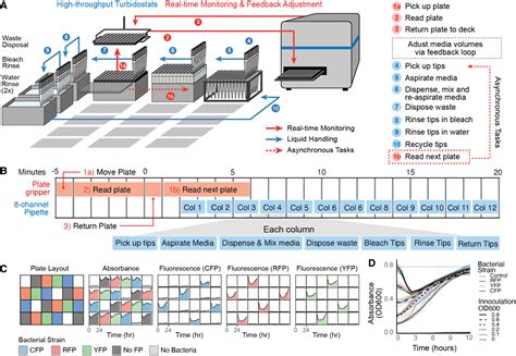 Enabling High‐throughput Biology With Flexible Open‐source Automation Molecular Systems Biology