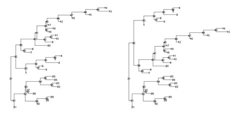Flip And Rotate Branches In Ggtree