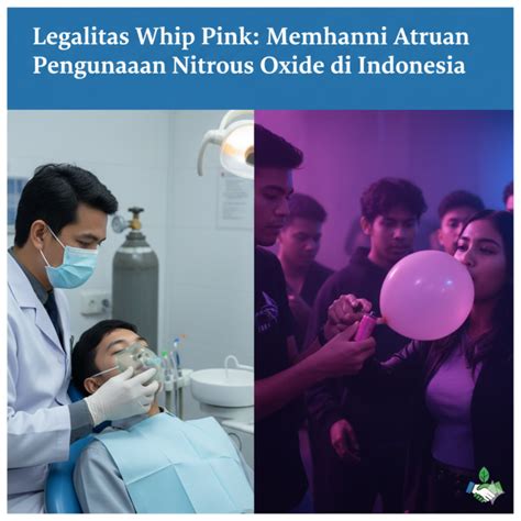 Legalitas Whip Pink Memahami Aturan Penggunaan Nitrous Oxide Di
