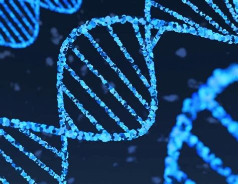 Decoding Genetic Links Mapping Mutations To Rare Diseases Archyde