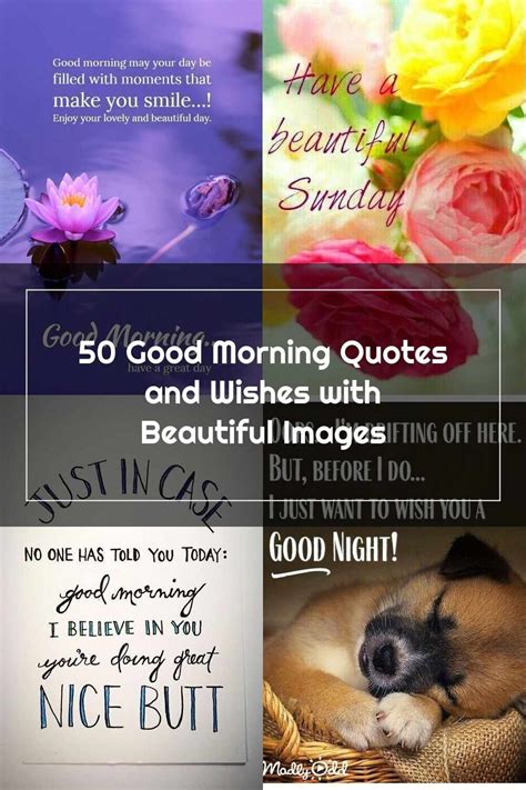 Good Morning Quotes 50 Good Morning Quotes And Wishes With Beautiful