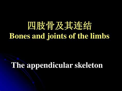 上肢骨及其连结word文档在线阅读与下载无忧文档