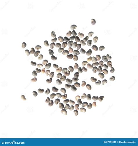Seeds Of Common Mignonette Or Reseda Odorata Isolated On White