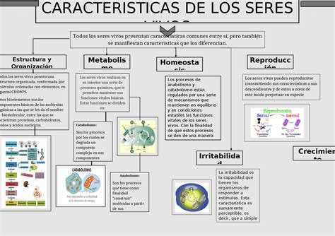 Esquema de las características de los seres vivos Comunes a todos ellos