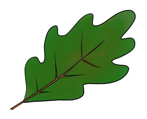 Free Cartoon Image Oak Leaf Hundreds Of Royalty Free Pictures On