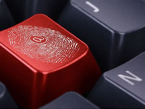 Como Proteger Seus Dados Pessoais Online