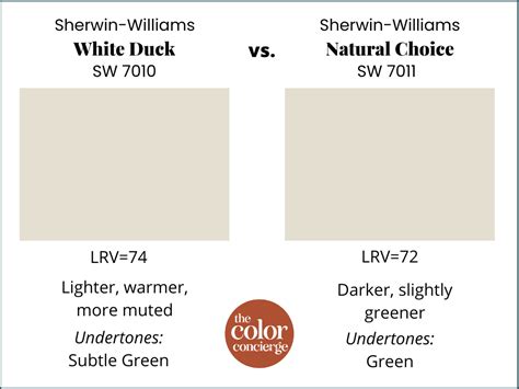 Sherwin Williams White Duck Color Review Color Concierge