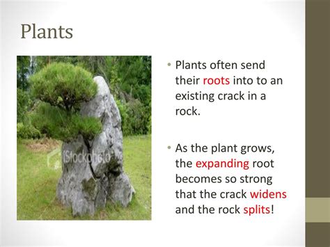 PPT Weathering Erosion And Soil Formation PowerPoint Presentation