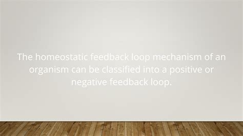 SOLUTION Types Of Feedback Mechanisms Studypool