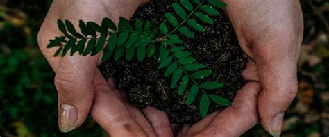 Rep Resources Material Bank Rep Resources Material Bank