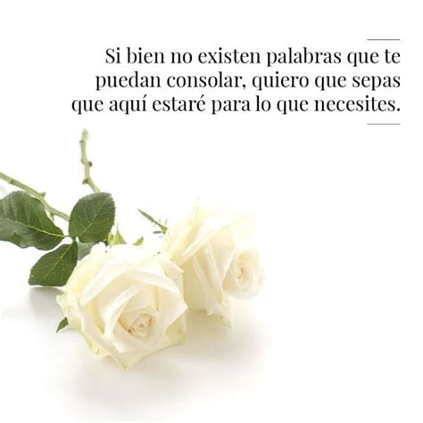 Las Mejores Frases De Pésame Cortas En 4 Tarjetas Digitales