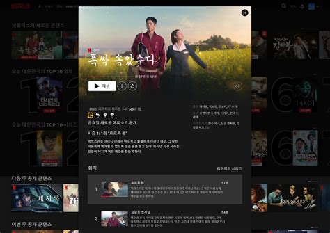 [폭싹 속았수다] 넷플릭스 공개 자유게시판 다모앙