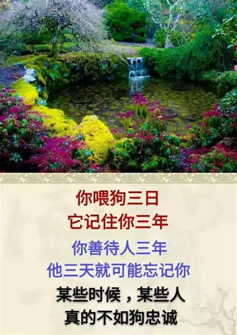 人争一口气，佛争一炷香，万丈高楼平地起，辉煌只能靠自己活着一炷香虚情假意新浪新闻