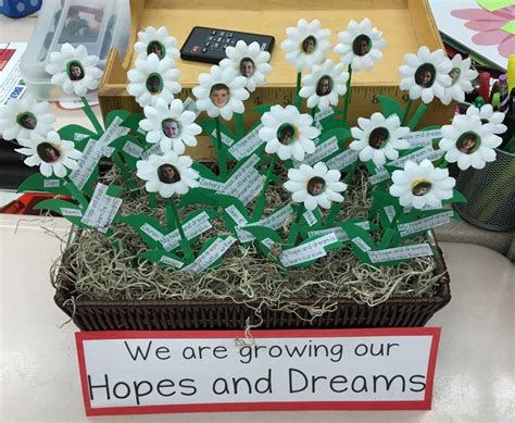 Hopes And Dreams Classroom Display At Beth Anker Blog