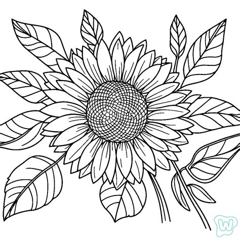 45 Girasol Para Colorear Dibujos Para Imprimir Gratis