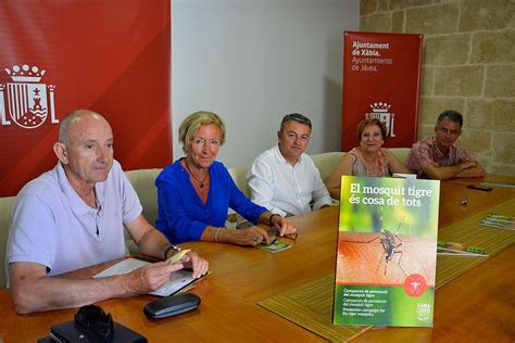 Combatir Al Mosquito Tigre Es Cosa De Todos