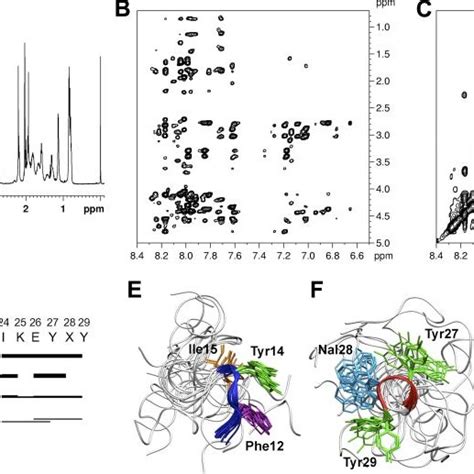 Nmr Solution Structure Of Peptide R15g3 A 1 H Nmr Spectrum Of R15g3