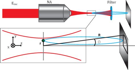 Figure 3 From Complete Vector Focal Field Characterization Via