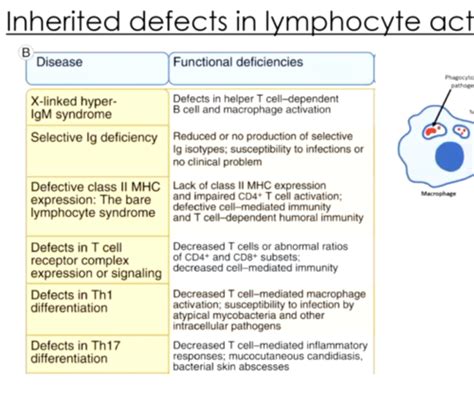 Quiz 2 Immunodeficiencies Flashcards Quizlet