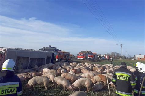 Aktualności strona rolnicze wiadomości fakty informacje