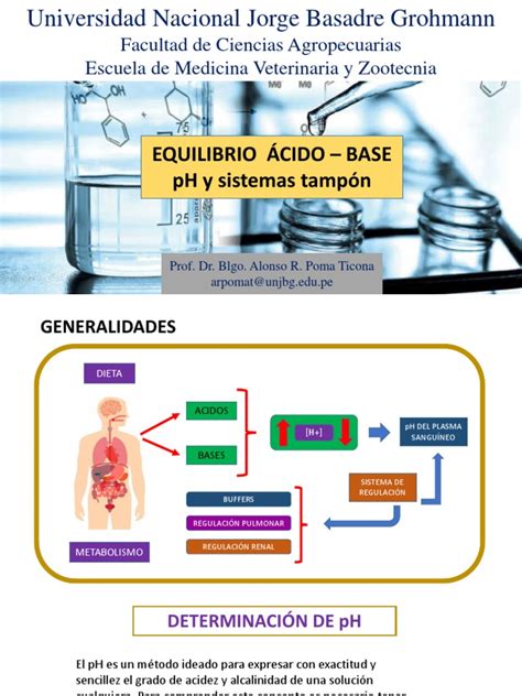 Equilibrio Ácido Base En Medicina Veterinaria Pdf Solución Tampón
