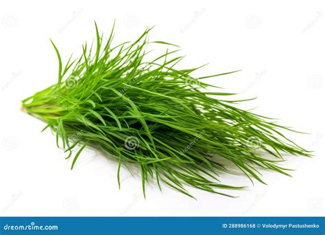 Bunch Of Green Grass On White Background With Clipping Generative AI