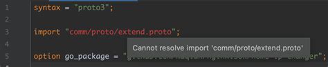 Goland 配置 Proto 文件搜索路径 起风了