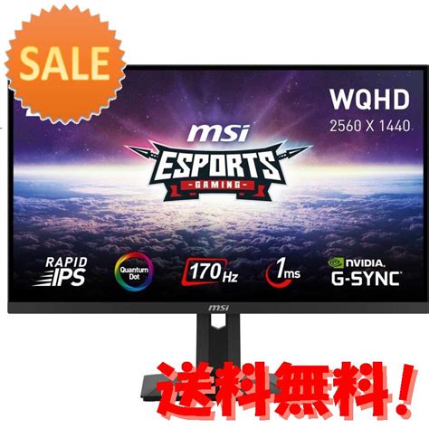 Msi 27型 ゲーミング液晶ディスプレイ （wqhd （2560×1440） Ips 1ms （gtg） 165hz Hdmi 2 15