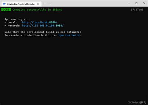 前端炫酷大屏vue datav echarts【已完结】 datav大屏 vue界面demo csdn博客