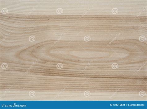 Ash Tree Wood Texture Stock Image Image Of Natural 121316531