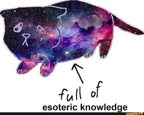Full Of Esoteric Knowledge Ifunny