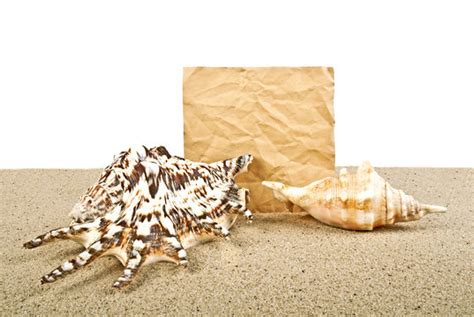 Pebbels Bilder Durchsuchen 351 Archivfotos Vektorgrafiken Und Videos Adobe Stock