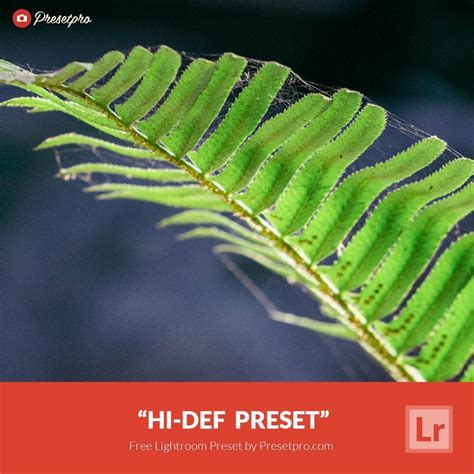 Free Lightroom Preset Hi Def Presetpro Com