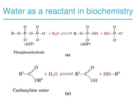 Ppt Chapter 2 Water And Aqueous Solutions Powerpoint Presentation