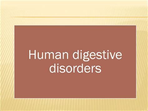 Grade 8 Digestive System Ppt